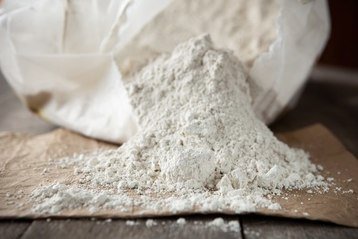How to Prevent & Get Rid of Fleas and Ticks on Dogs - PatchPuppy.com