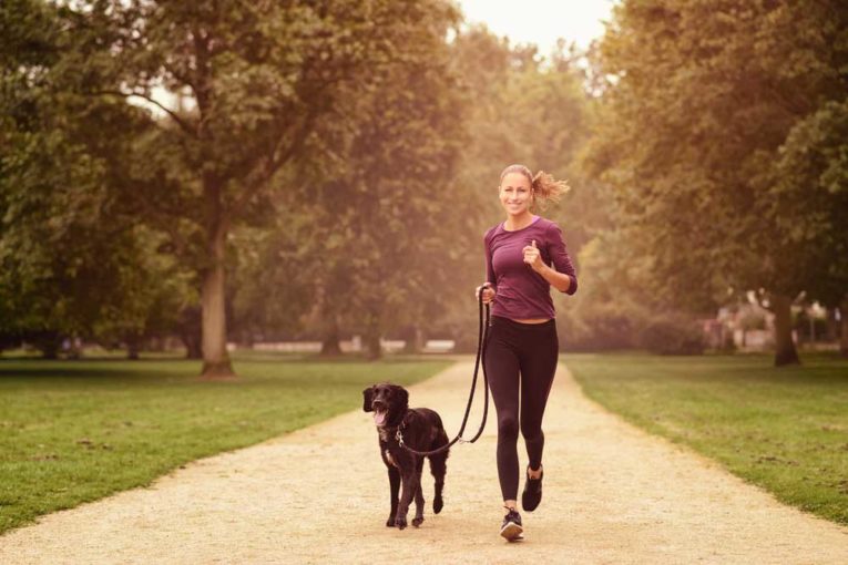 9 Active Family Dogs! The Best Dogs for an Active Lifestyle ...