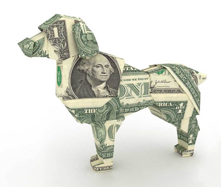 How Much Does A Dog Cost Per Month On Average PatchPuppy How Much Does A Dog Cost Per Month On Average PatchPuppy