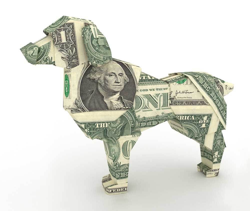 How Much A Month Does A Dog Cost How Much A Month Does A Dog Cost