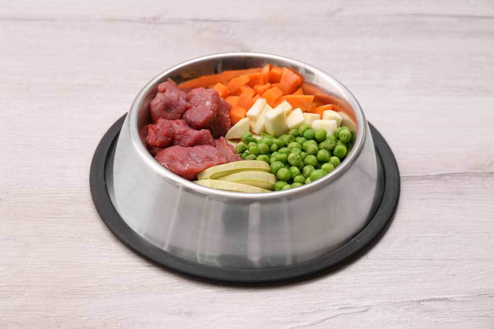 How Much Homemade Dog Food To Feed Your Dog PatchPuppy How Much Homemade Dog Food To Feed Your Dog PatchPuppy