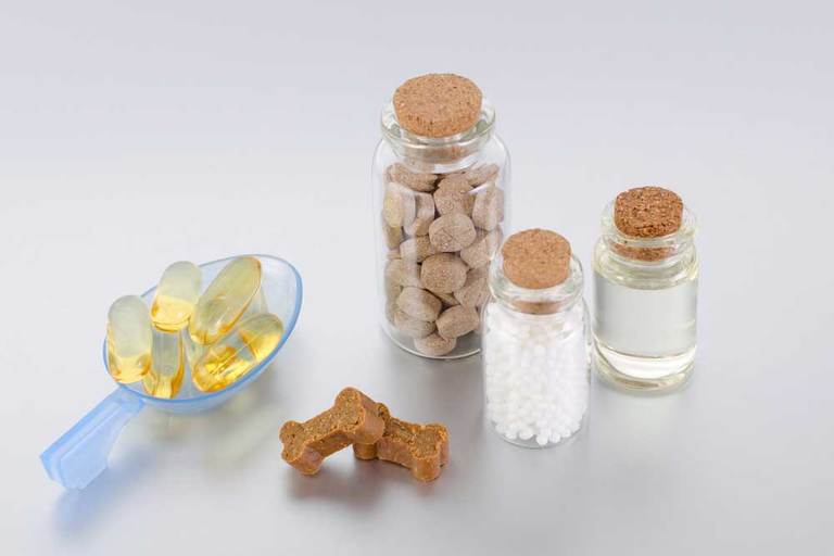How Much Homemade Dog Food to Feed Your Dog? - PatchPuppy.com