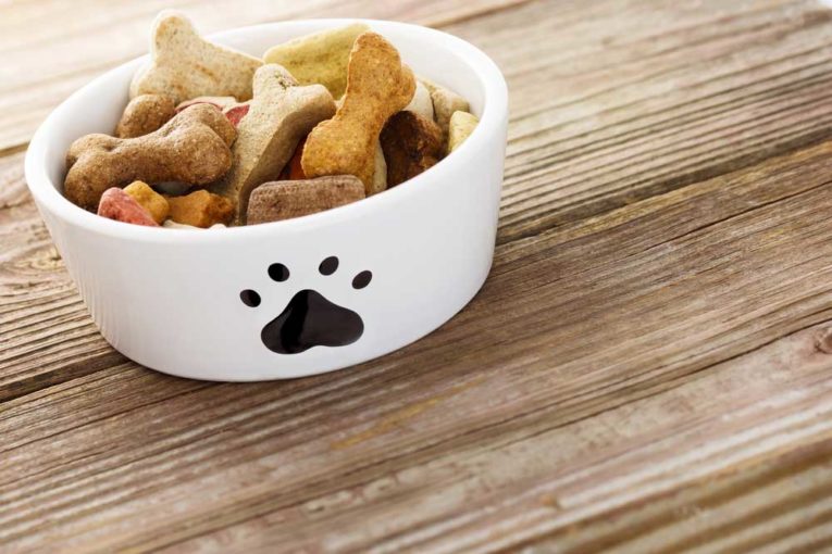 4-super-long-lasting-dog-treats-recipes-patchpuppy