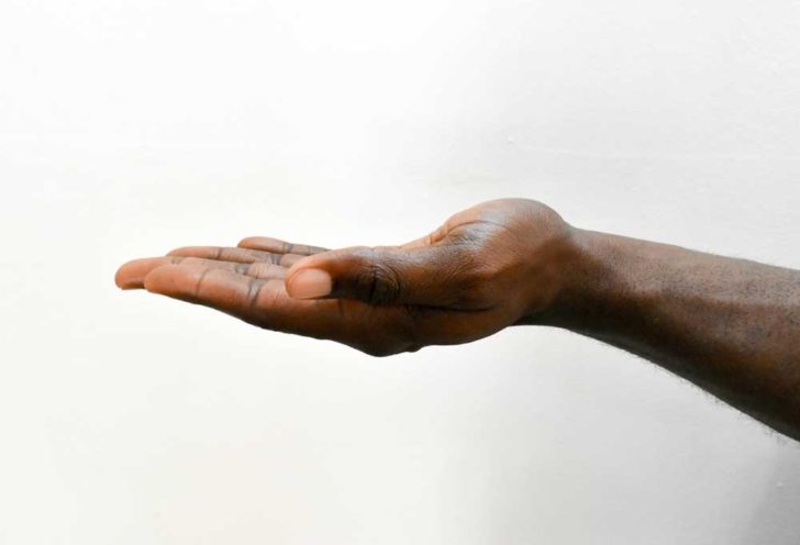 A Comprehensive List of Dog Commands and Hand Signals - PatchPuppy.com