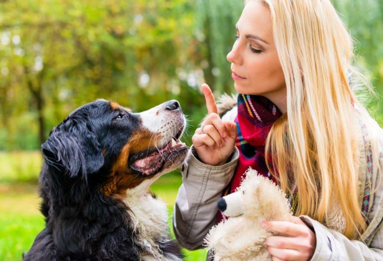 13 Czech Dog Commands PatchPuppy