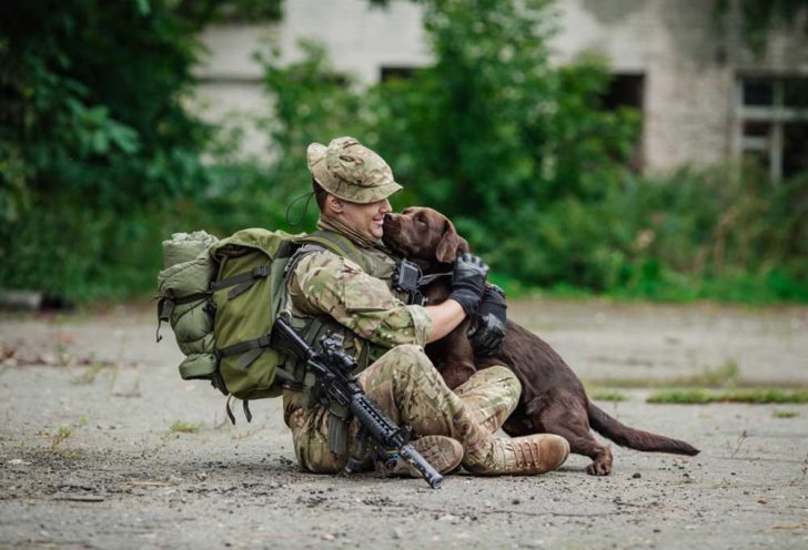7 Military Dog Training Commands - PatchPuppy.com
