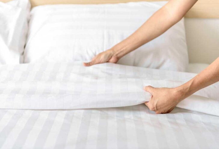 How Long Can Fleas Live on Sheets? - PatchPuppy.com
