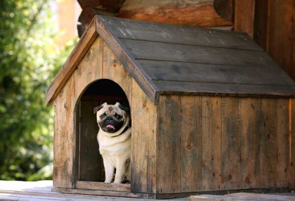 DIY Dog Shelter - PatchPuppy.com