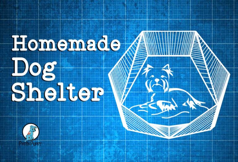 DIY Dog Shelter - PatchPuppy.com