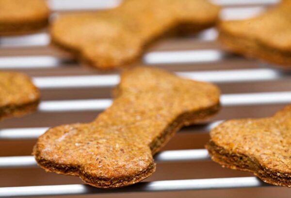 Homemade Crunchy Dog Treats - PatchPuppy.com