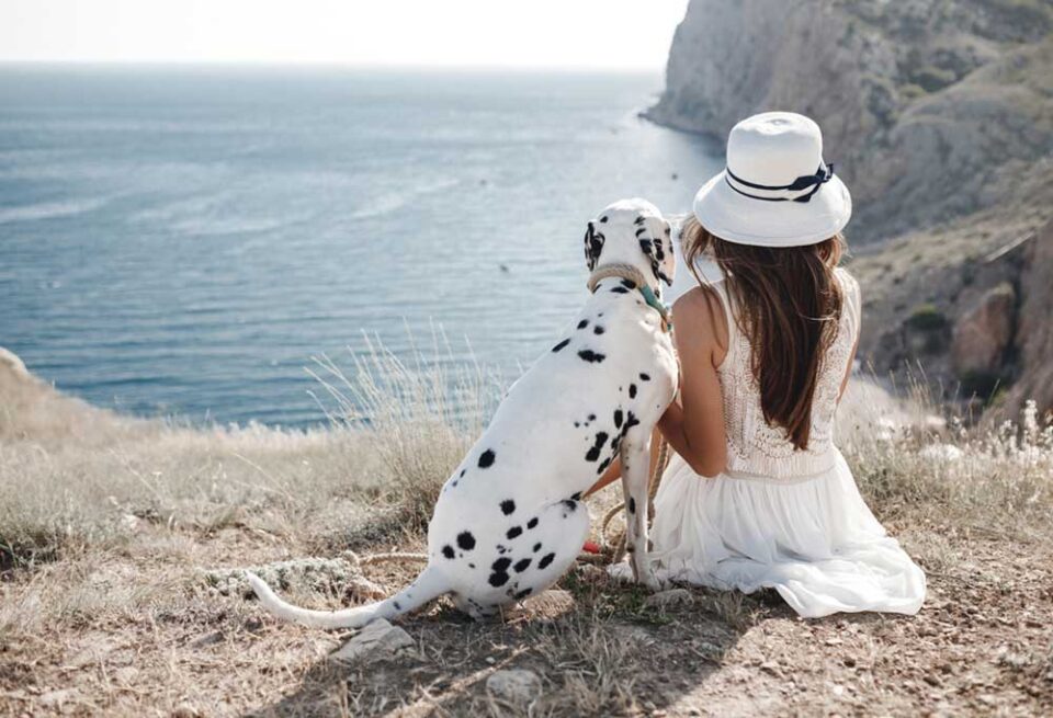 Are Dalmatians Good Luck? - PatchPuppy.com
