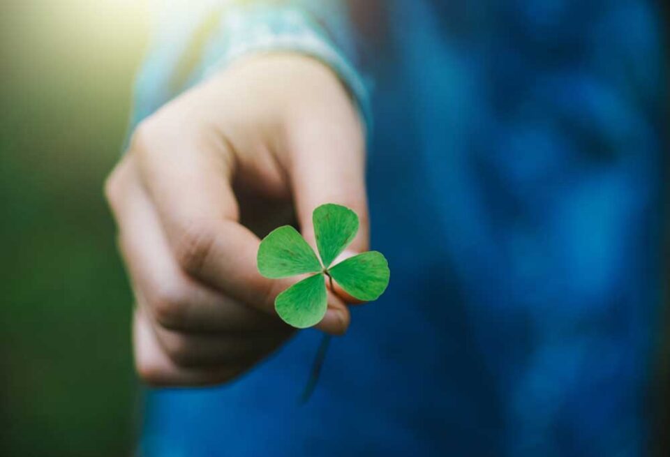 Are Dalmatians Good Luck? - PatchPuppy.com